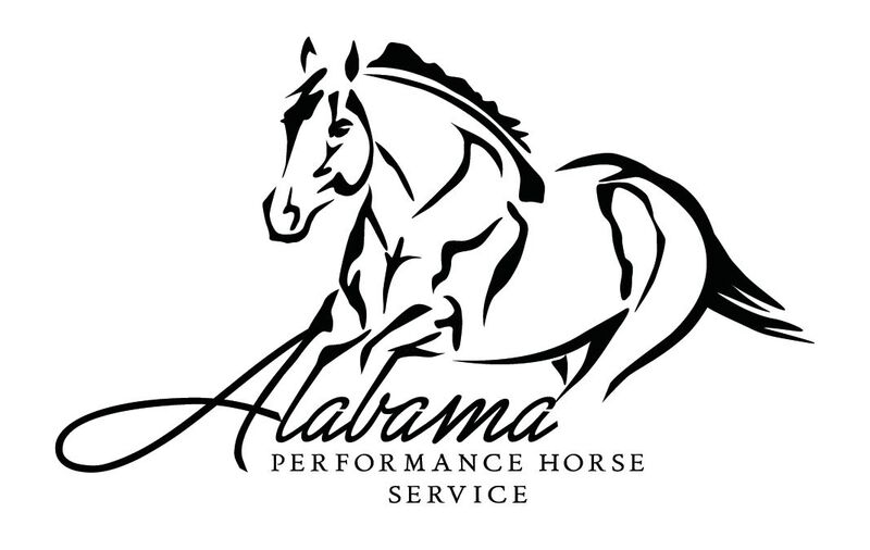 Alabama Quarter Horse Association